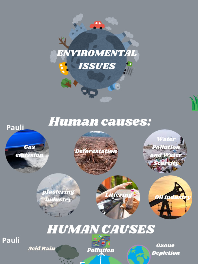 Addressing Environmental Issues | PDF