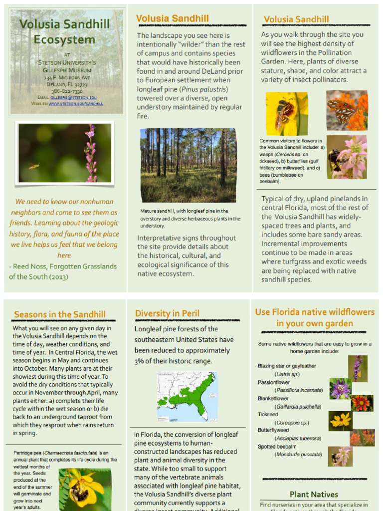 Sandhill Brochure Revised | PDF