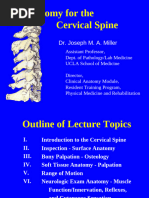 Topographic Landmarks for Radiography | PDF | Vertebra | Skull