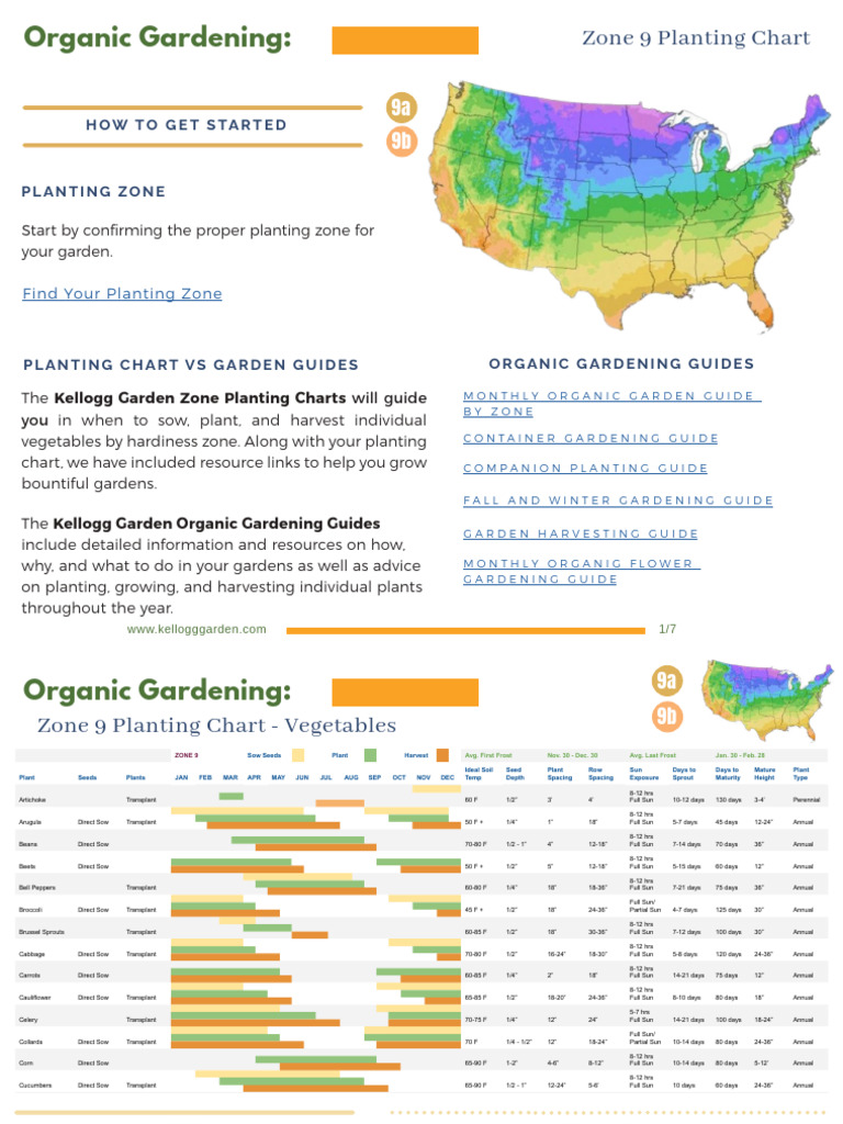 Zone 9 Vegetable Planting Chart | PDF | Sowing | Vegetables