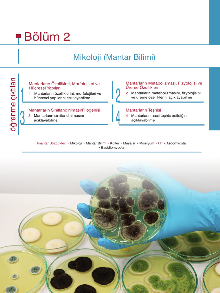Mikrobiyoloji 2025 Pages 3 | PDF