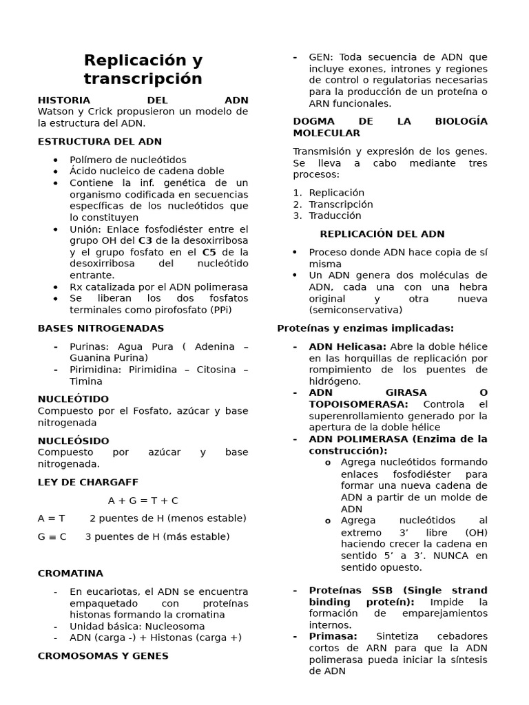 S13 - Replicación y Transcripción | PDF | Rna | Adn