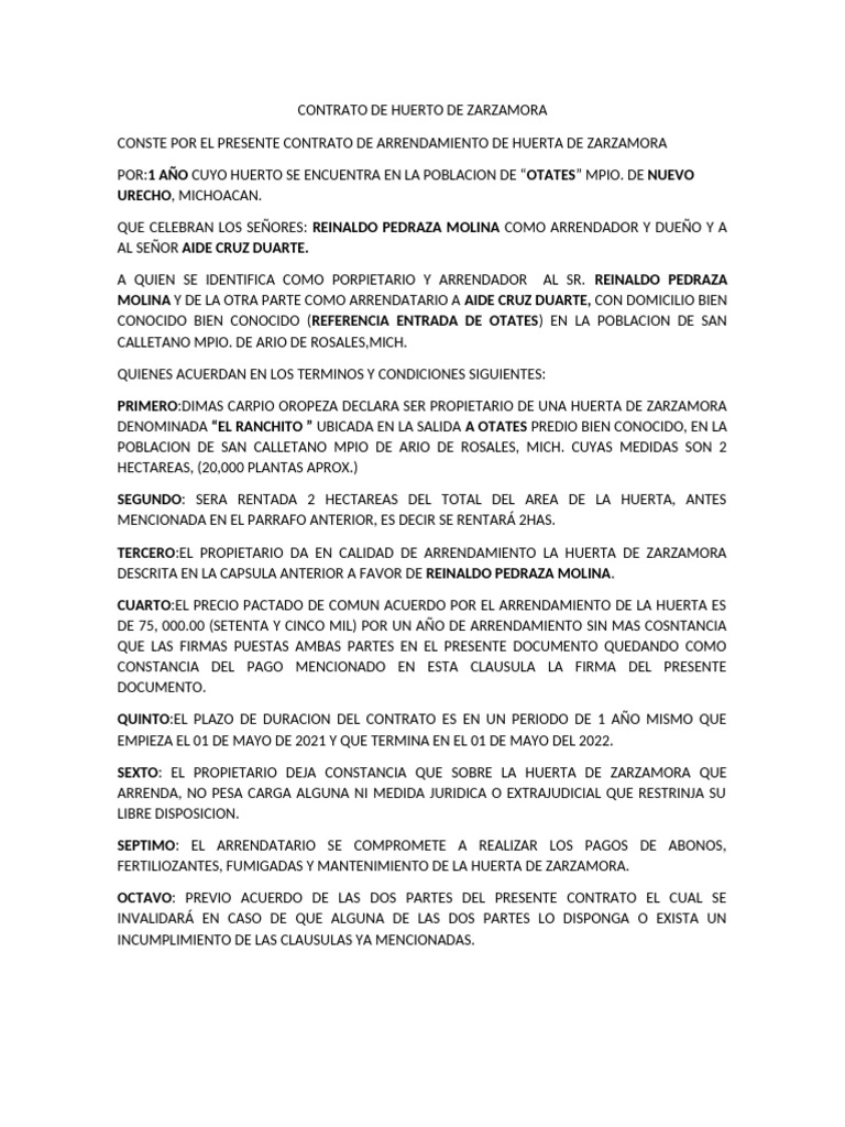 Reinaldo Pedraza Molina | PDF