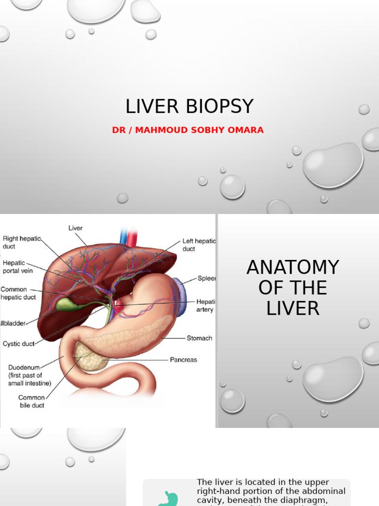 Liver Biopsy Procedure Overview | PDF