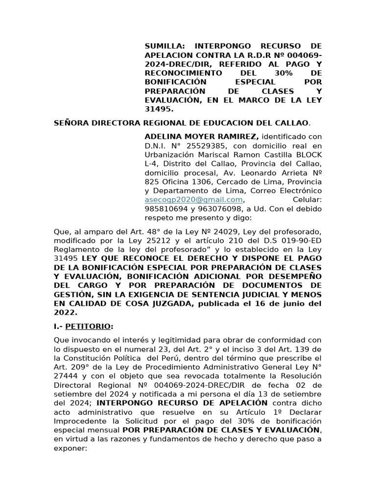 Apelacion Rdr-Adelina Moyer Ramirez | PDF | Constitución | Justicia