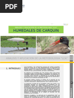 TUTORIAL WRPLOT View - SIMC | PDF | Hidrología | Hidrografía