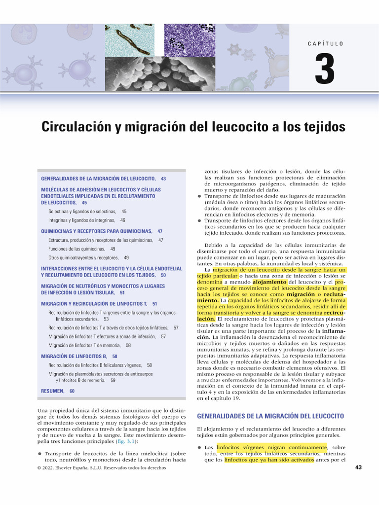 resumen-cap3 inmuno | PDF