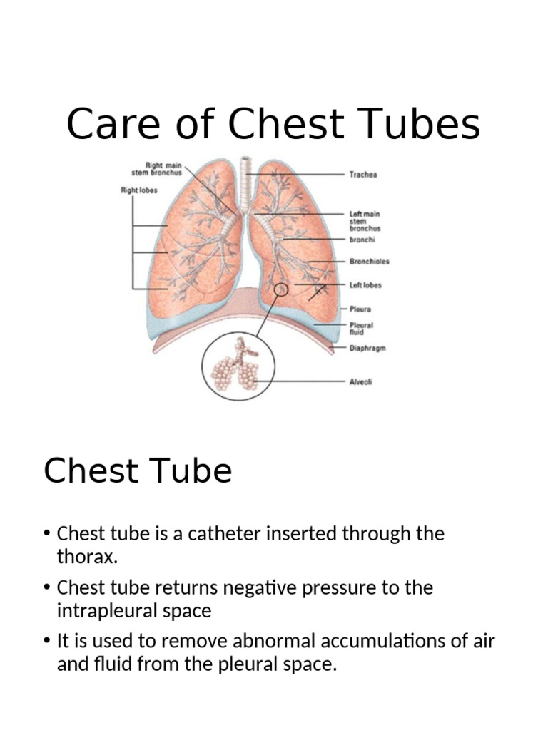 Chest Tube care | PDF | Medical Emergencies | Respiratory System