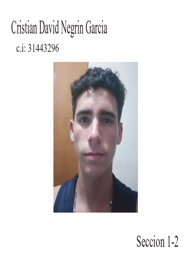 Cristian David Negrin Garcia: Seccion 1-2 | PDF