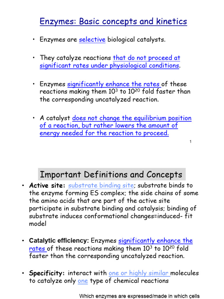 Enzyme Basics and Kinetics Explained | PDF | Cofactor (Biochemistry ...