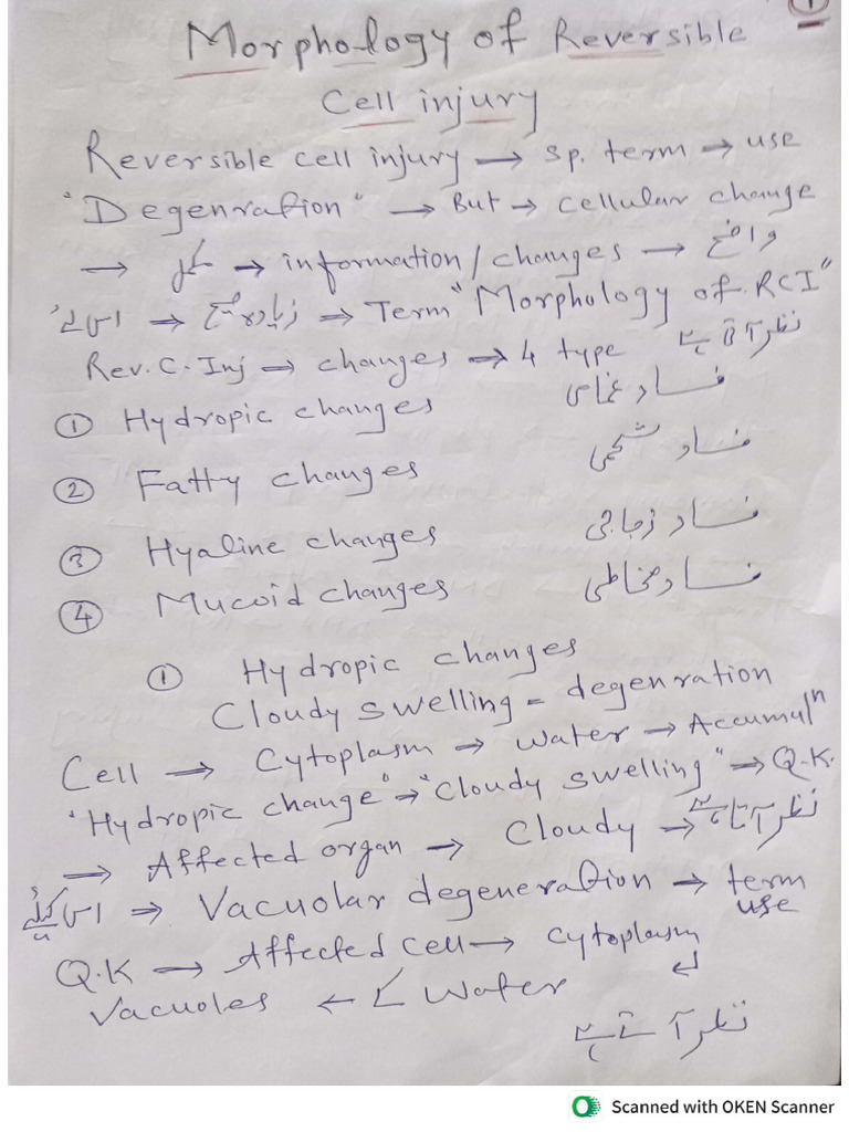 Morphology of Reversible Cell Injury | PDF