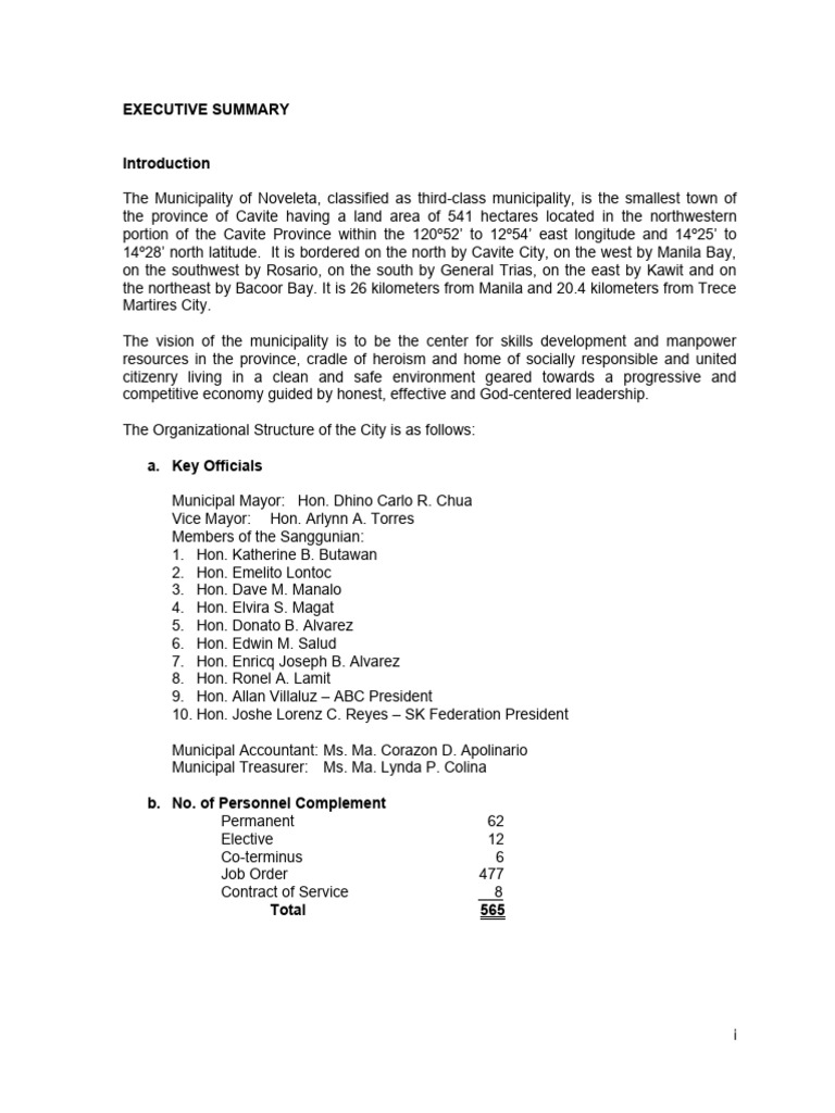 Noveleta Executive Summary 2021 | PDF | Financial Audit | Expense