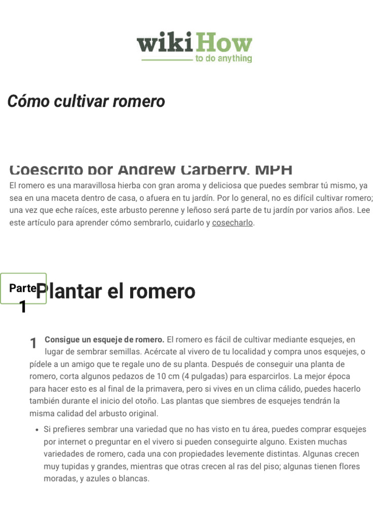 Cómo Cultivar Romero - 12 Pasos (Con Imágenes) - Wikihow | PDF | Romero ...