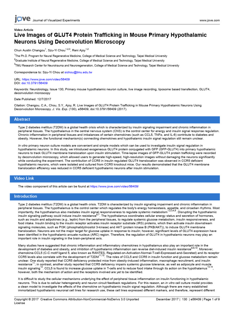 Live Images of GLUT4 Protein Trafficking in Mouse | PDF | Microscopy ...