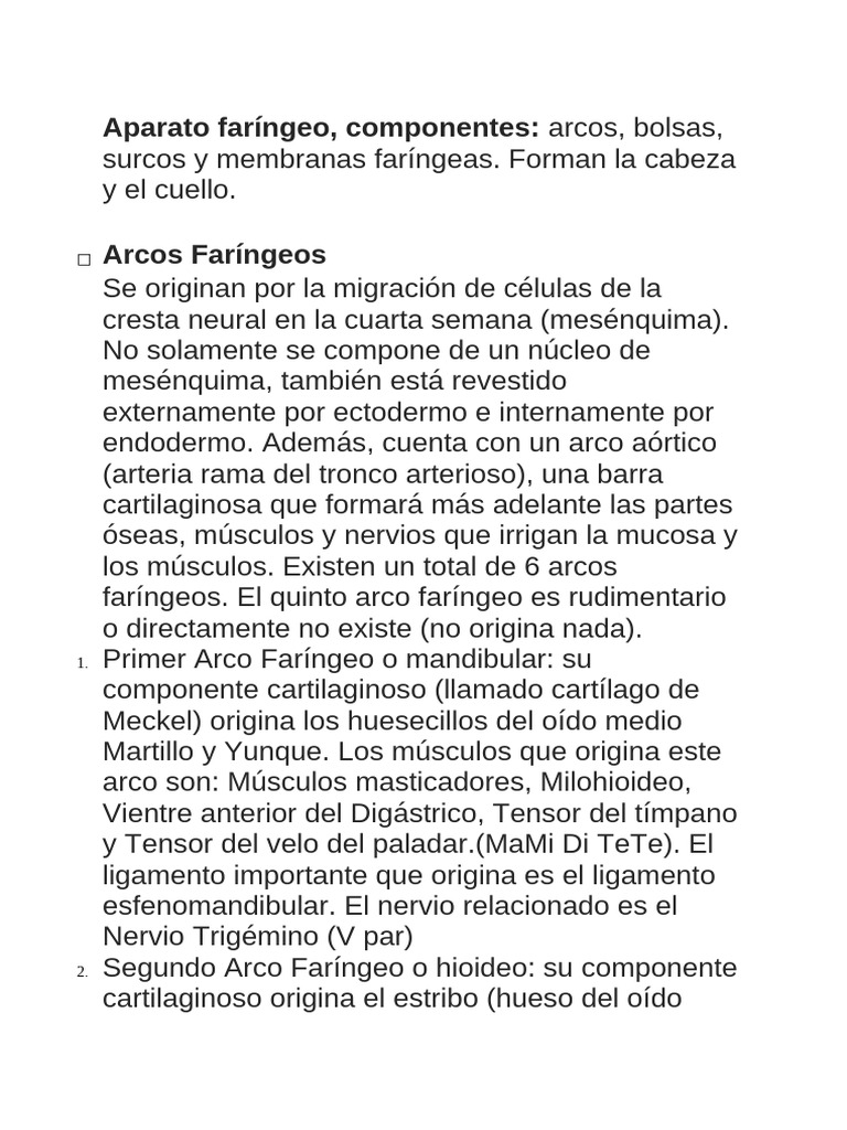 Desarrollo de Arcos y Estructuras Faríngeas | PDF | Laringe | Lengua