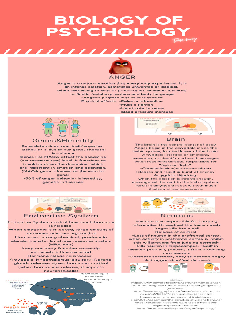 Biology of Psychology Graph | PDF | Emotions | Stress (Biology)