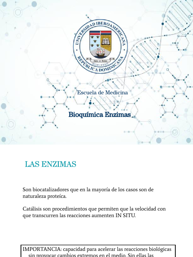 UNIBE 3- 1- Enzima - A-PDF | PDF | Enzima | Sustrato (Química) UNIBE 3- 1- Enzima - A-PDF | PDF | Enzima | Sustrato (Química)