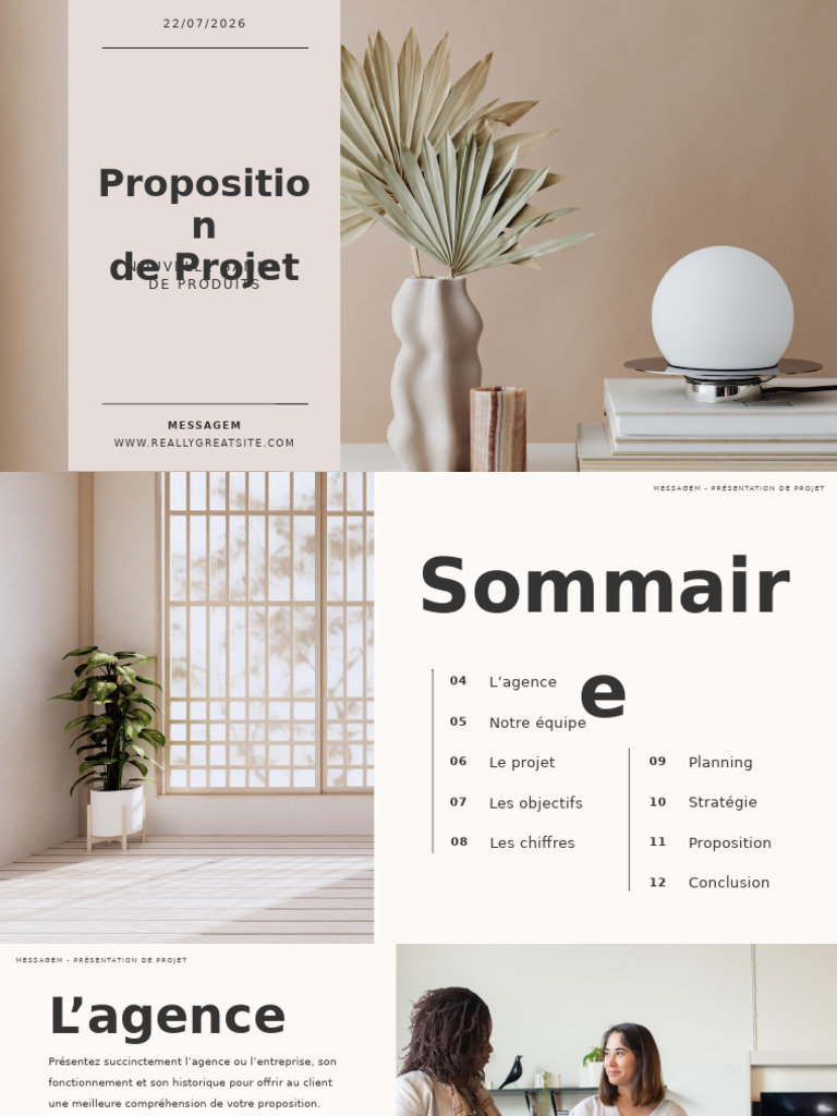 Présentation Professionnelle Moderne Simple Beige Et Rose | PDF | Business