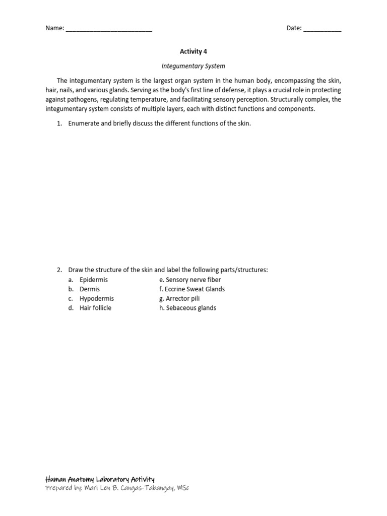 Laboratory Activities 4 and 5 | PDF | Human Musculoskeletal System ...