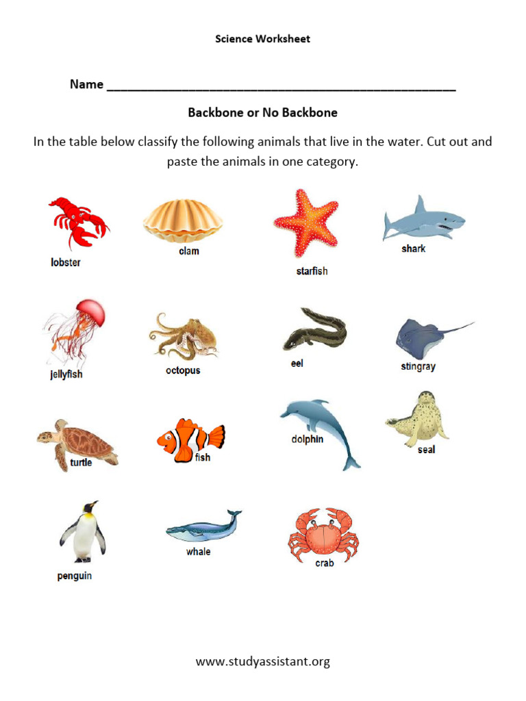 Backbone or No Backbone | PDF