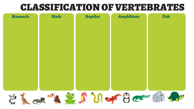 Vertebrate Classification Guide | PDF