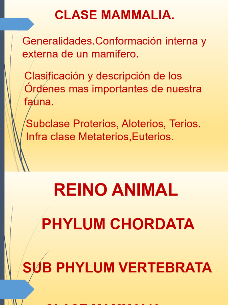 Características de los Mamíferos | PDF | Mamíferos | Vertebrados