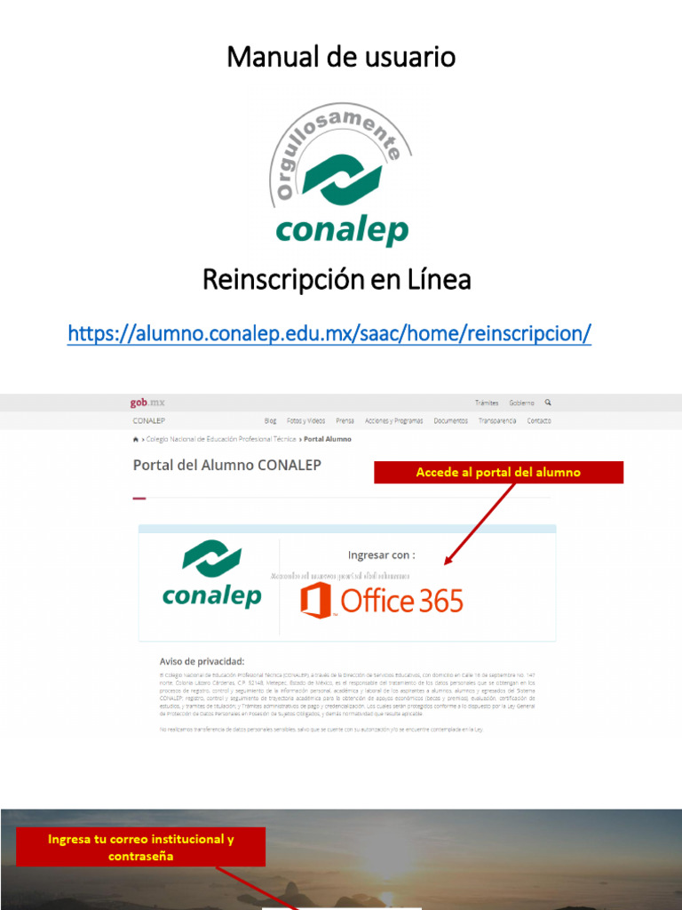 Reinscripción en Línea CONALEP: Guía Paso a Paso | PDF