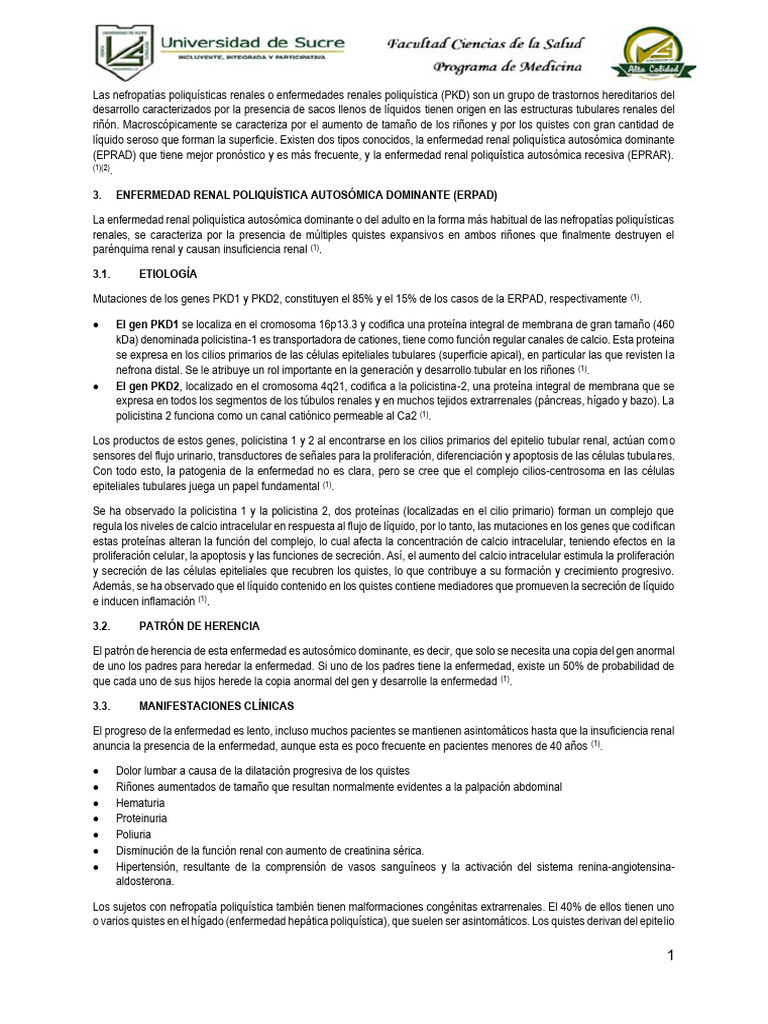 Enfermedad Renal Poliquística: Tipos y Diagnóstico | PDF | Riñón ...