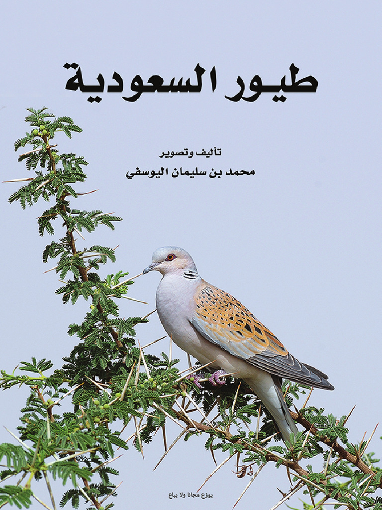 Saudi Birds Mohdalyousefi(1) | PDF