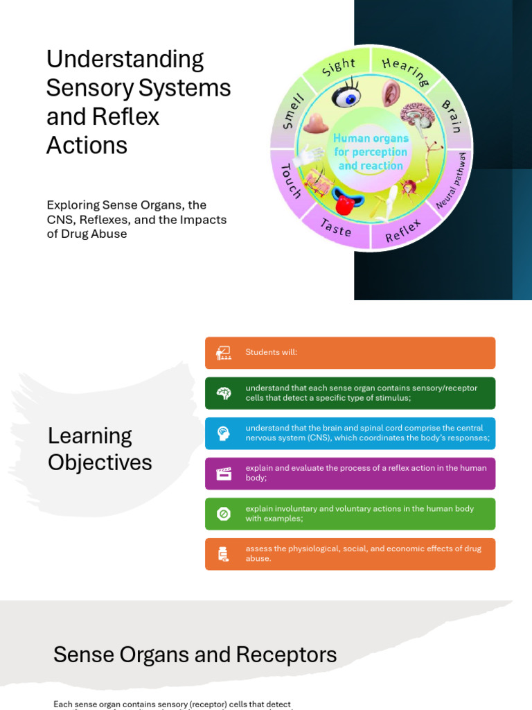 Sense Organs, Reflexes, Drug Abuse | PDF | Senses | Neuroscience