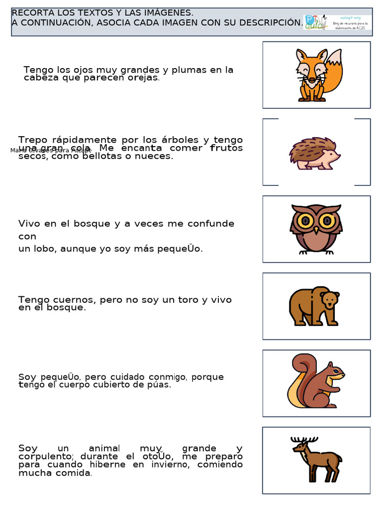 Comprension Lectora Animales Otono | PDF
