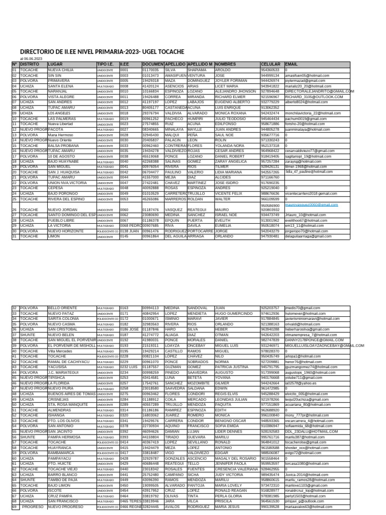 Directorio Nivel Primaria - Junio-Okkkk | PDF