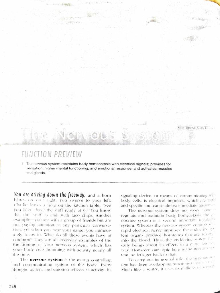 Wk8 ACT & Reference 1 | PDF | Myelin | Axon