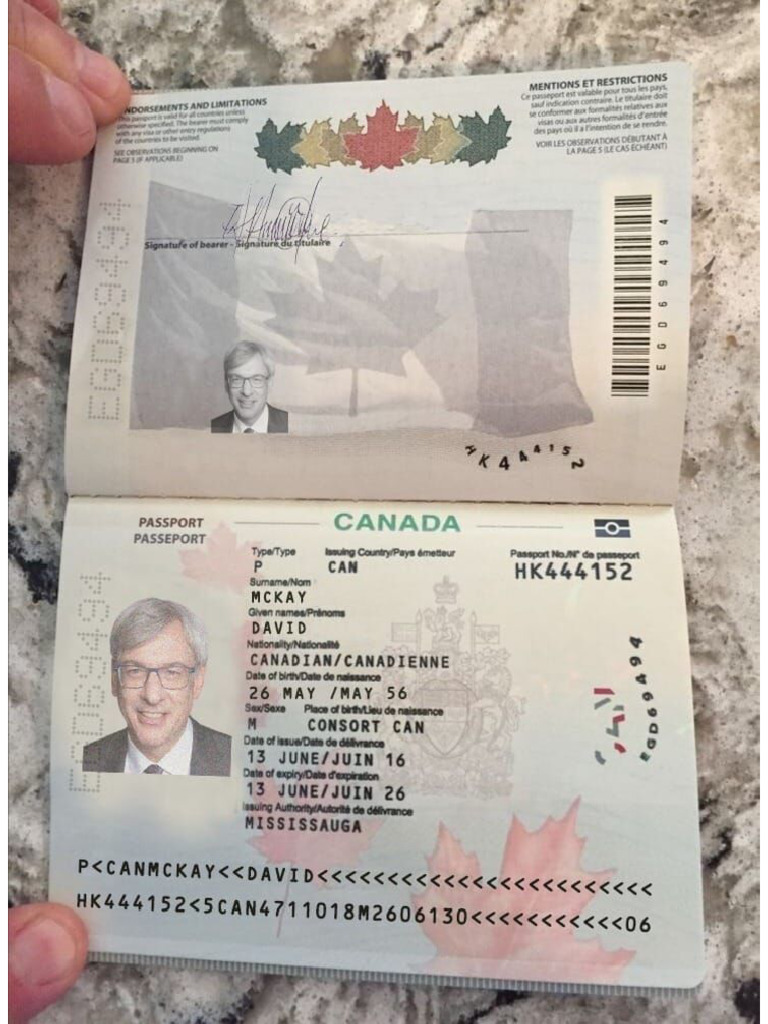 David Passport | PDF