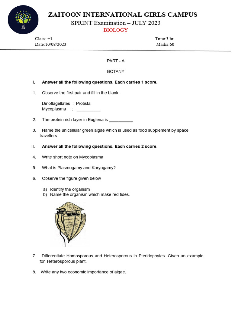 Sprint - Biology Question Paper | PDF | Chemical Synapse | Synapse