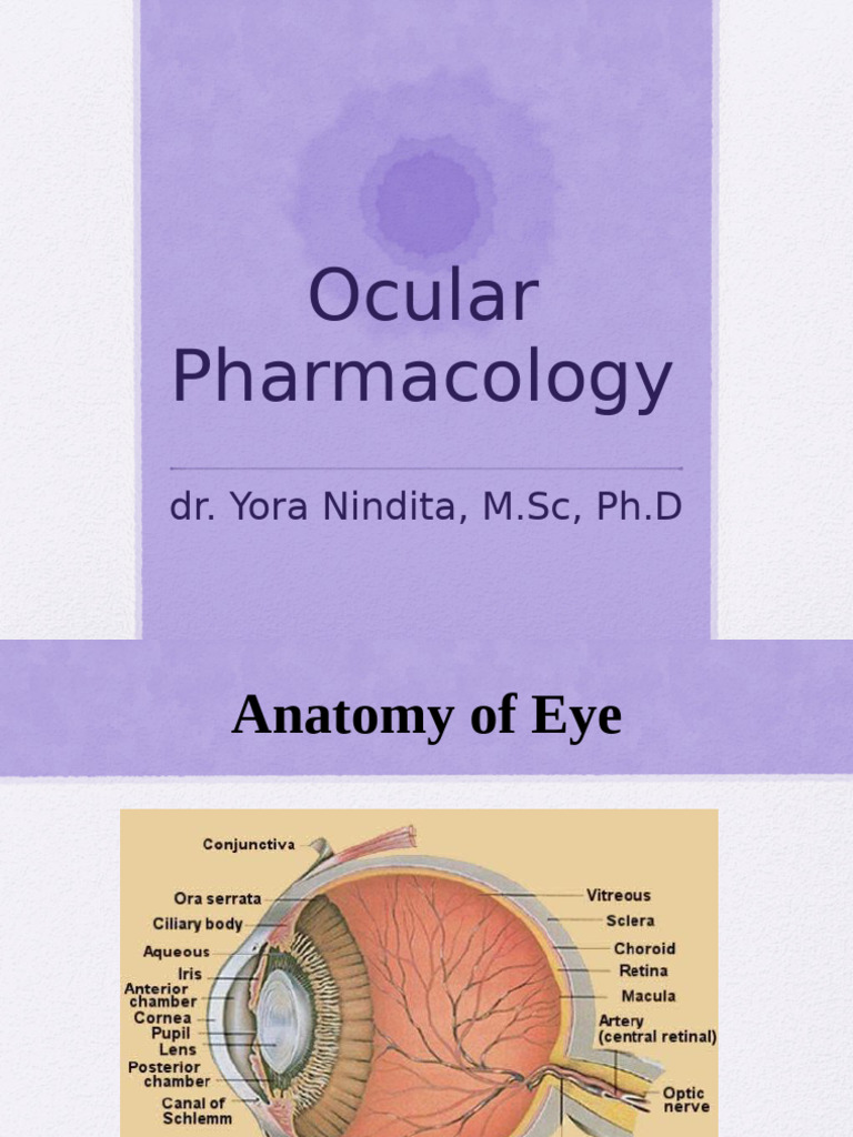 Ocular Pharmacology | PDF | Topical Medication | Cornea