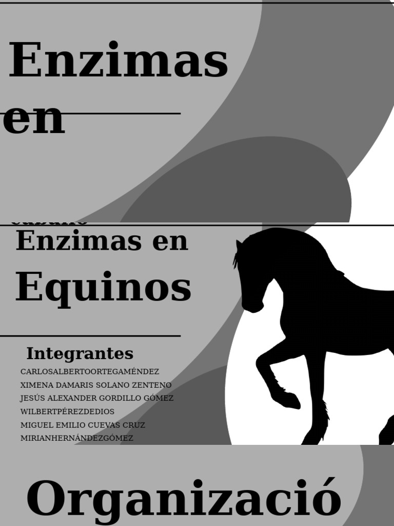 Enzimas y su función en caballos | PDF | Digestión | Enzima