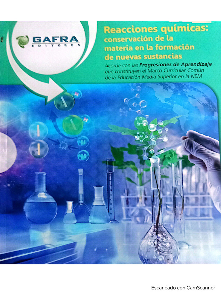 Reacc Quim IV Sem C D | PDF