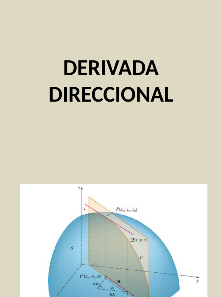 (11) Derivada direccional | PDF