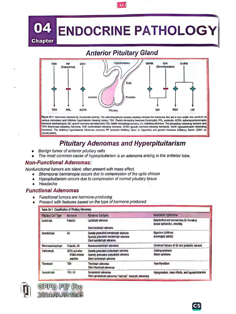 Endo .. Essentials of Pathology | PDF