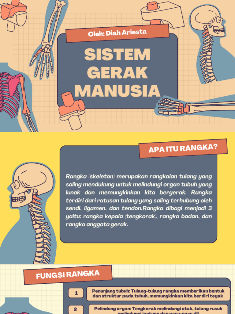 Bahan Ajar Kelas 6 Sistem Rangka, Otot, Dan Sendi | PDF