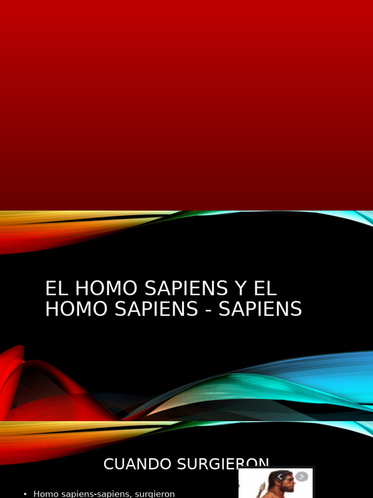 El Homo Sapiens y El Homo Sapiens-Sapiens | PDF