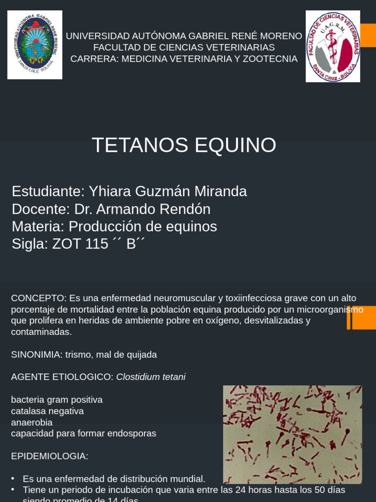 Enfermedades 《Tetanos》 | PDF | Microbiología | Inmunología