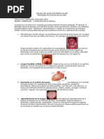 Glositis: Causas, Síntomas y Tratamiento | PDF | Inflamación | Alergia