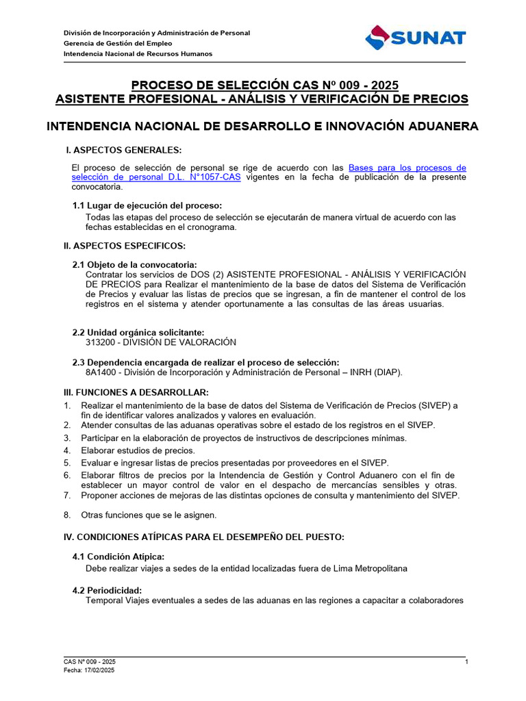 009_9 | PDF | Gestión de recursos humanos | aduana
