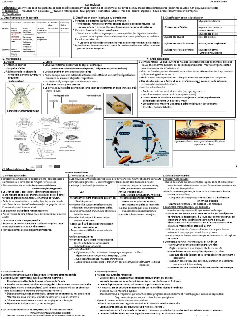 Myiases : Types et Symptômes | PDF