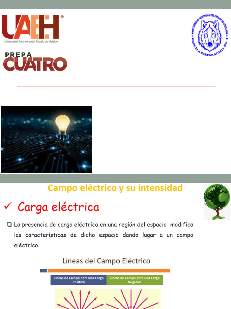 Campo Eléctrico: Conceptos y Ejercicios | PDF | Campo eléctrico ...