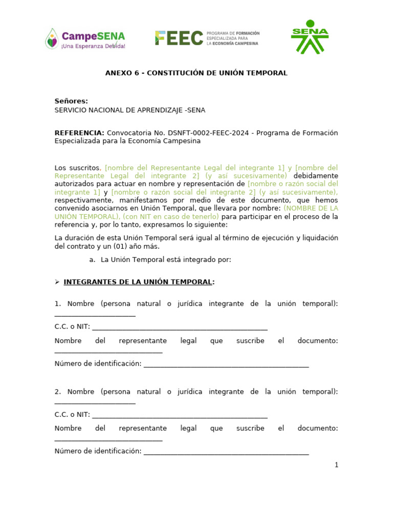 Constitución de Unión Temporal SENA 2024 | PDF | Gobierno
