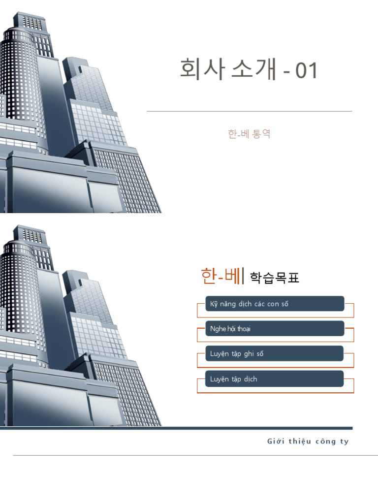 4.1. Gioi Thieu Cong Ty(HV1) | PDF