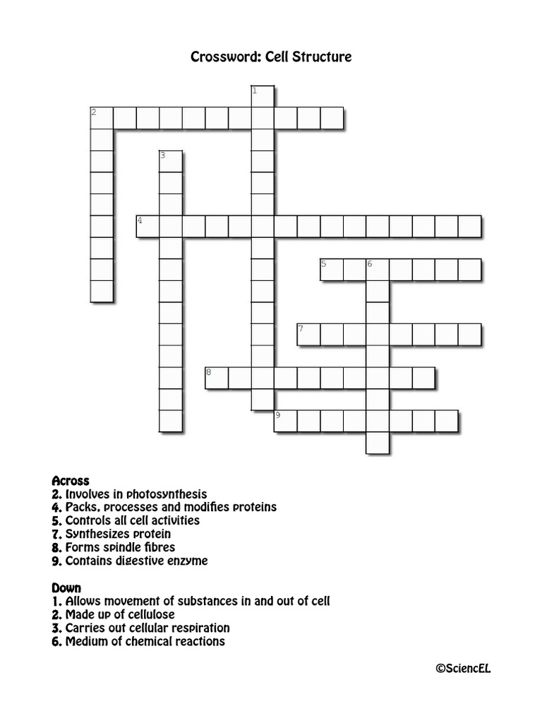Crossword Cell Structure | PDF